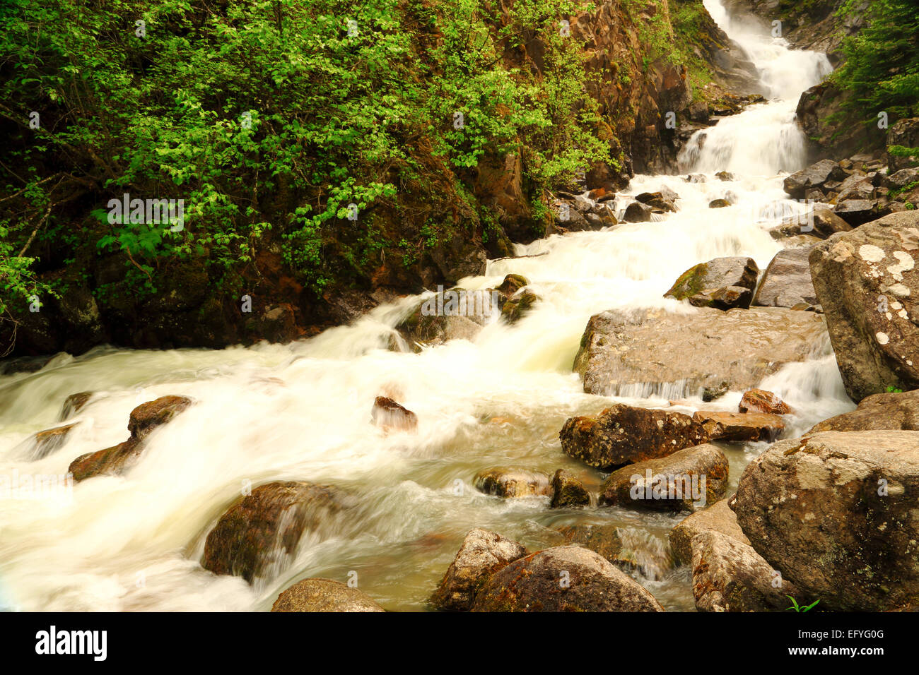 Reid waterfall hi-res stock photography and images - Alamy