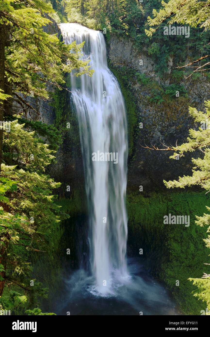 Salt Creek Falls Stock Photo - Alamy