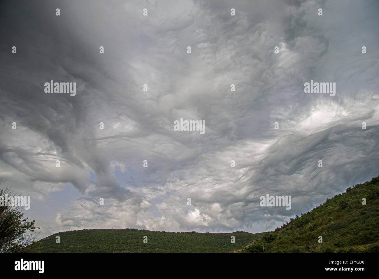 Undulatus asperatus hi-res stock photography and images - Alamy