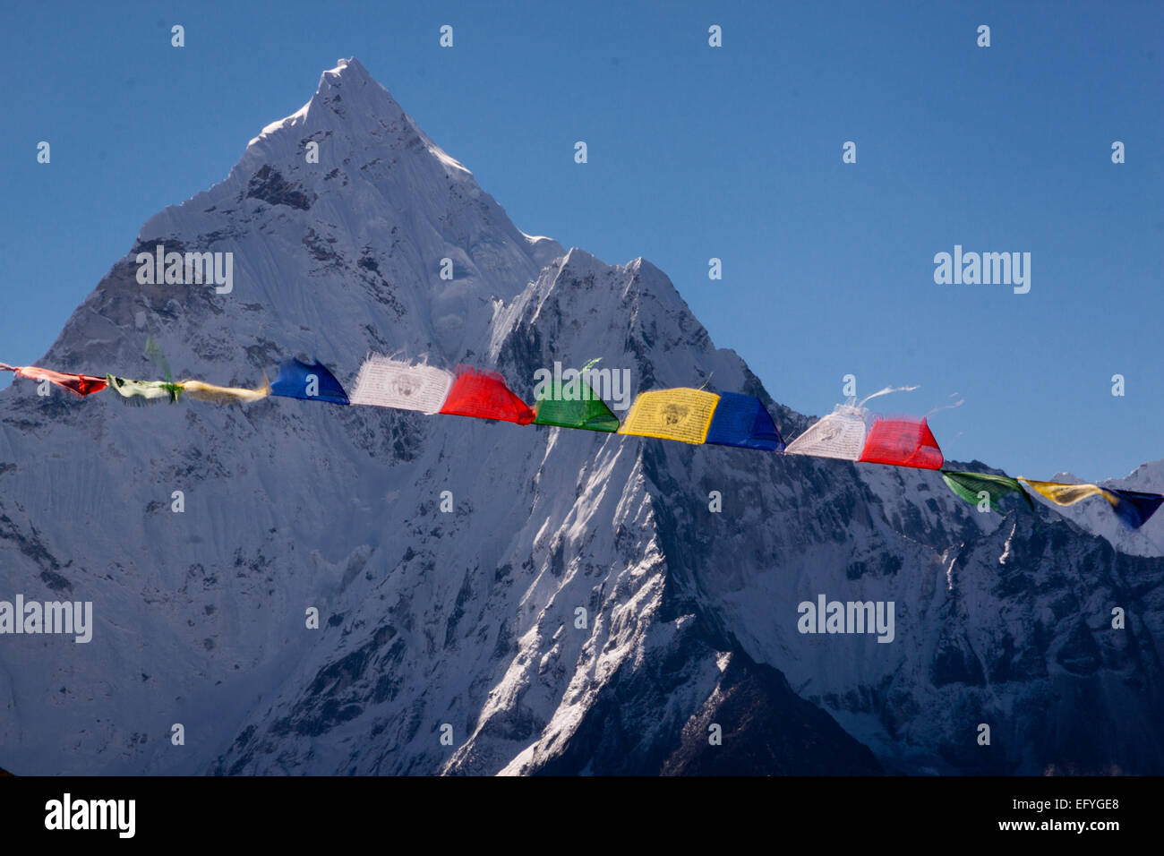 Prayer flags fluttering in front of Ama Dablam Stock Photo - Alamy