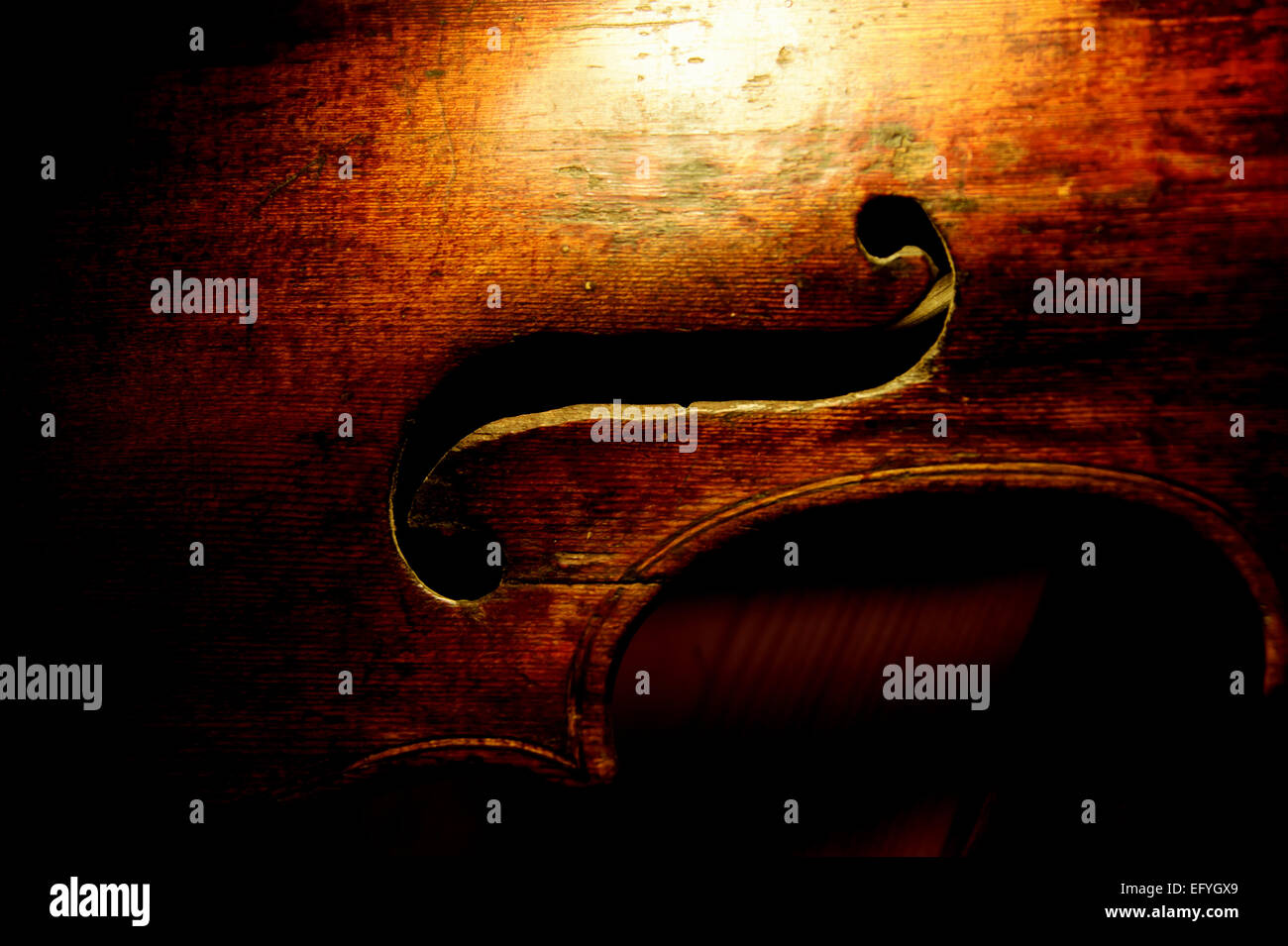 Close up of violin musical instrument made from wood showing grain ...
