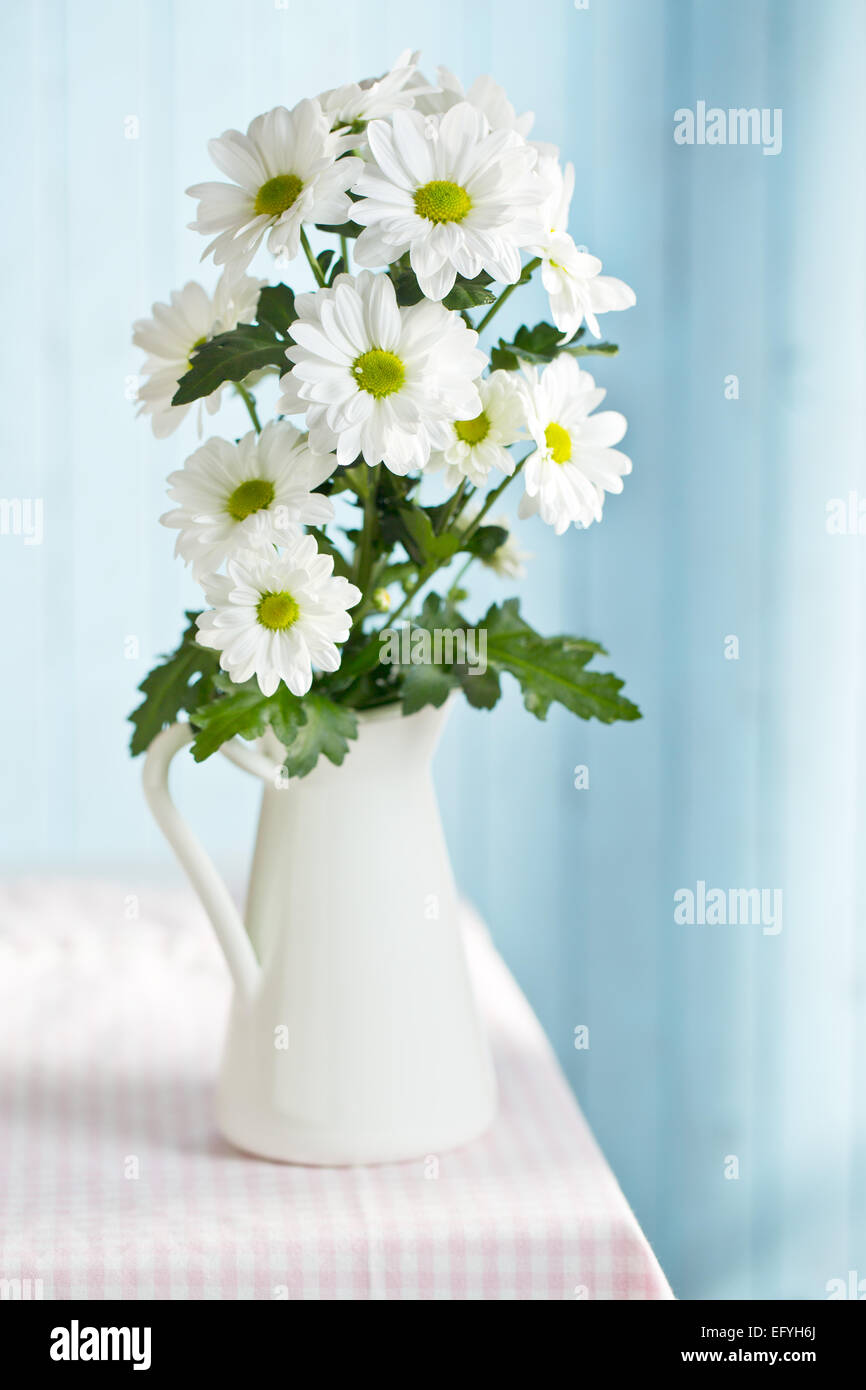 Daisy in vase hi-res stock photography and images - Alamy