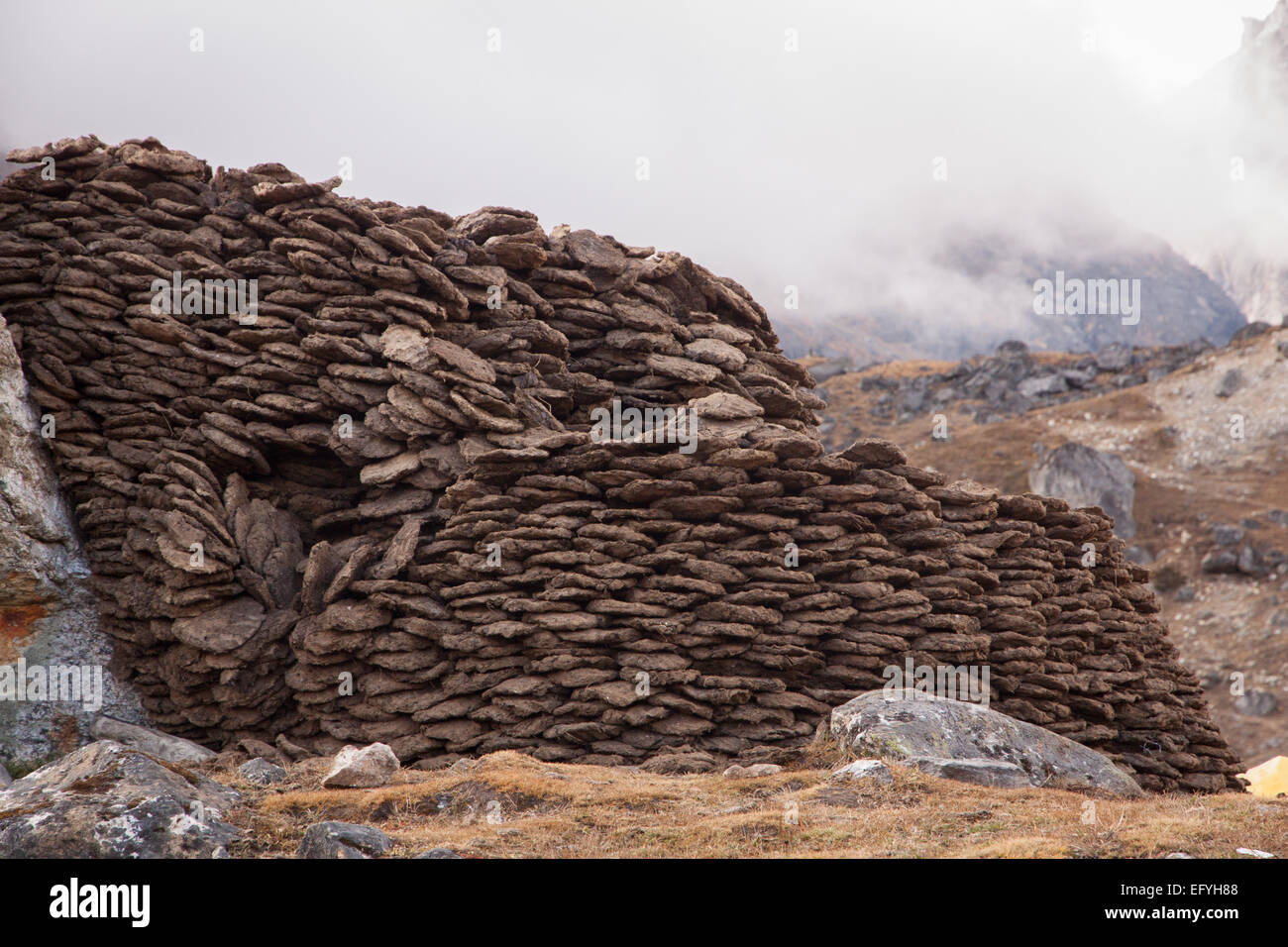 A stack on yak manure in the Himalayas Stock Photo - Alamy