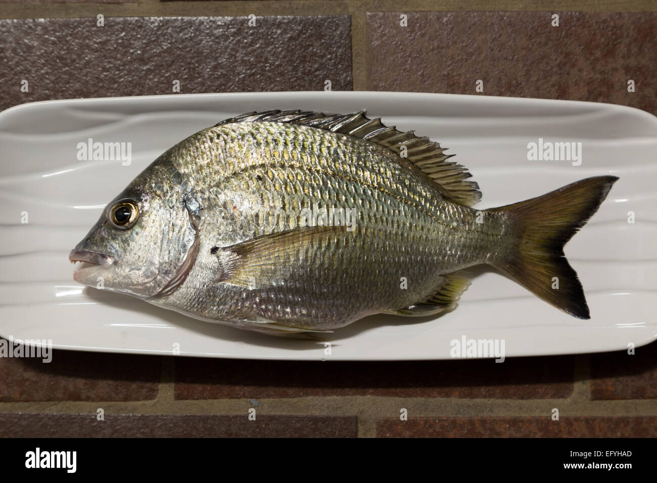 A photograph of a Yellowfin Bream on a dinner plate. The photograph was ...