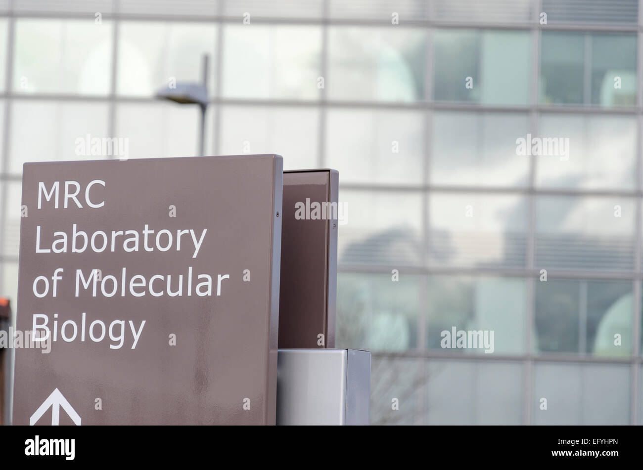Molecular Biology Laboratory Research at Caitlin Hume blog