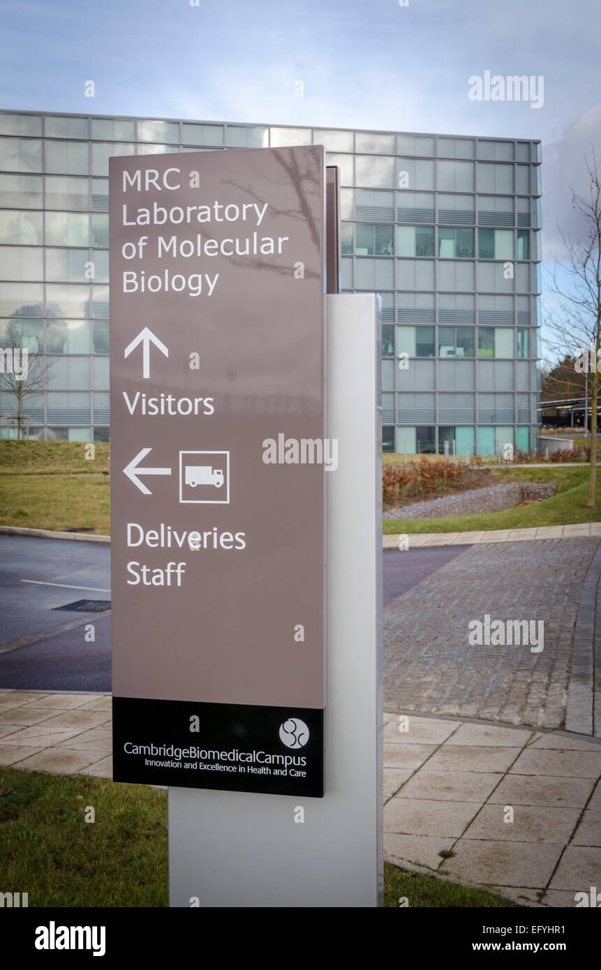 Laboratory of molecular biology mrc hi-res stock photography and images ...