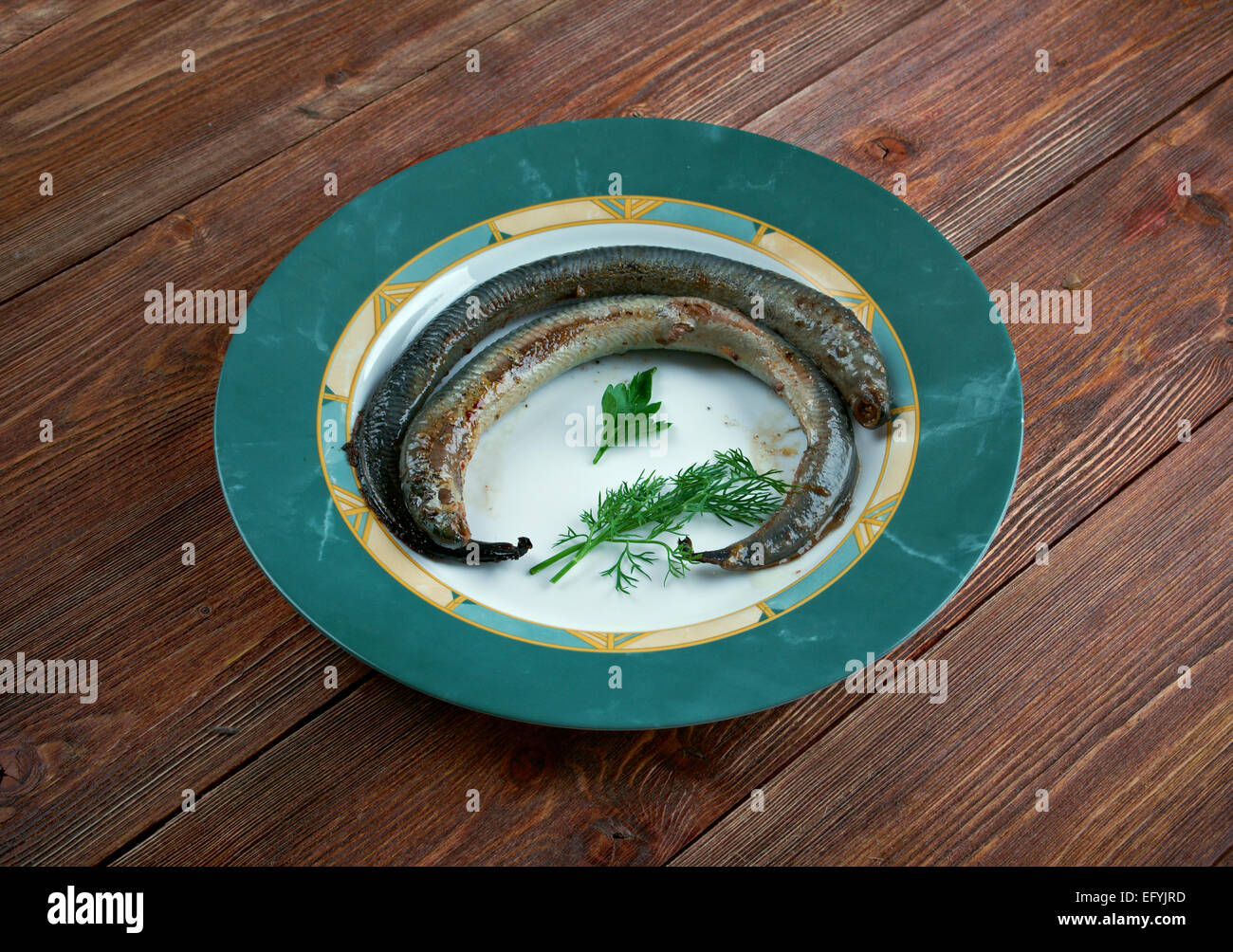 Lamprey fish close up hi-res stock photography and images - Alamy