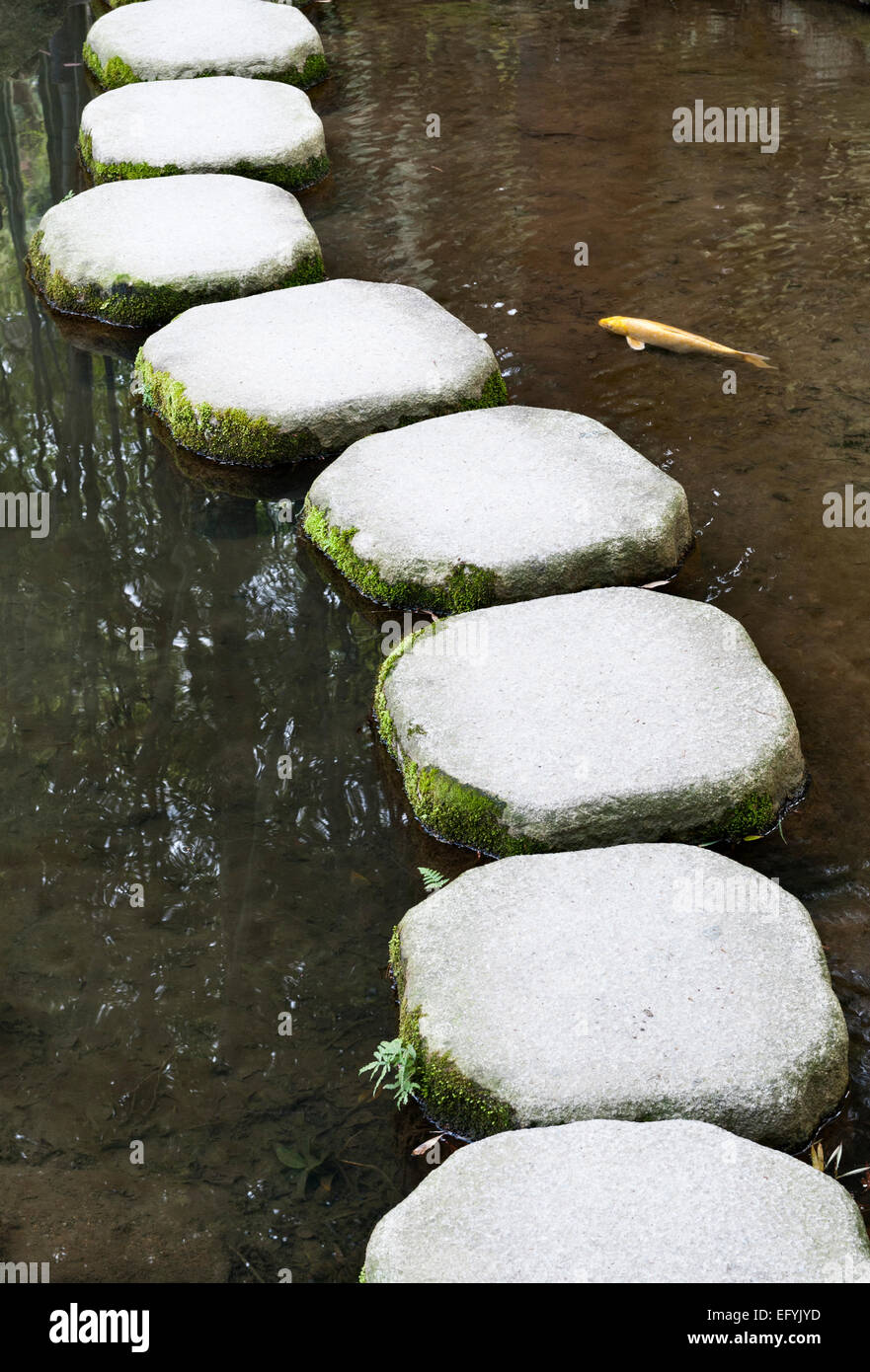 Garden pond water stepping stones hi-res stock photography and images ...