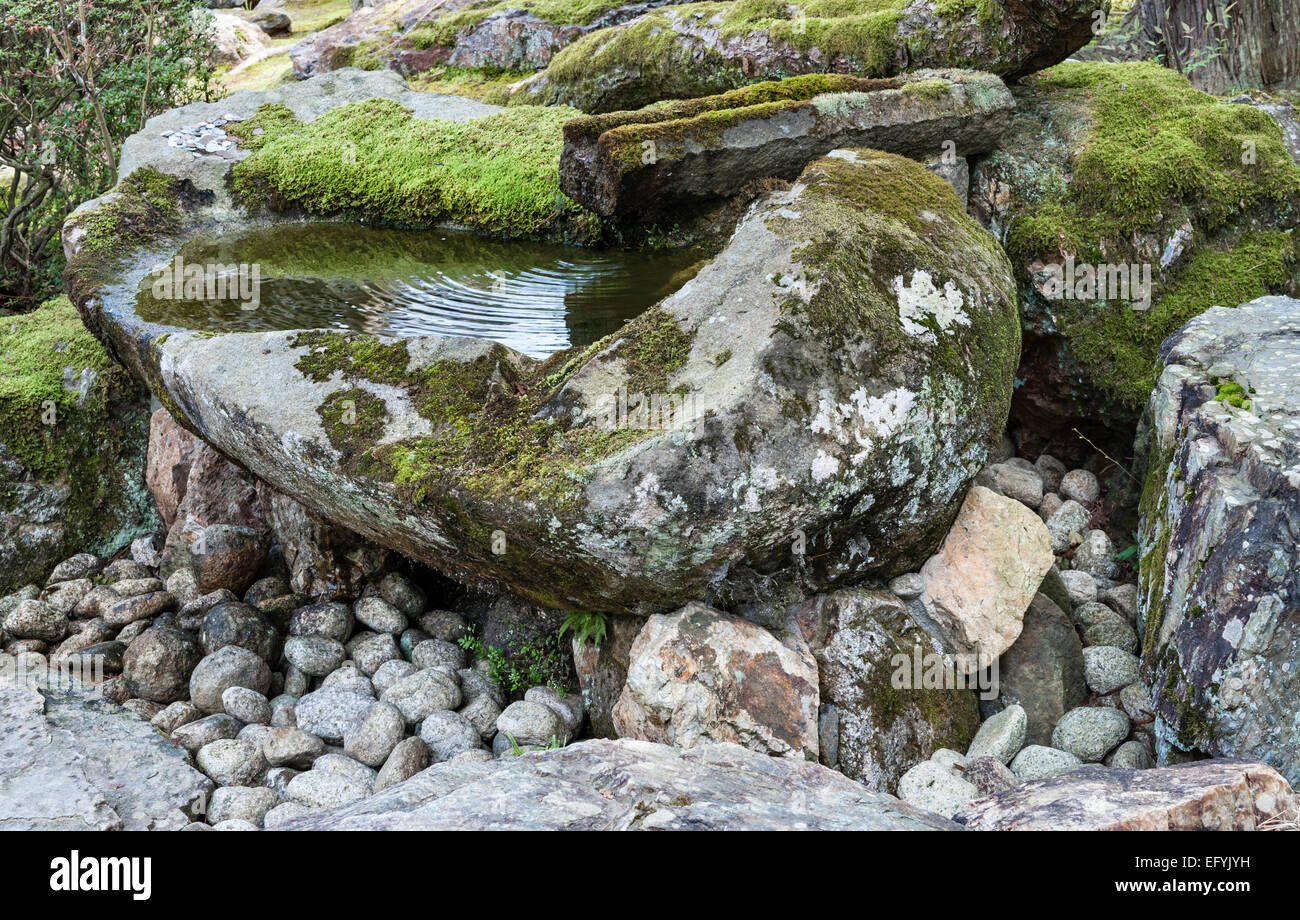 A spring feeds an ancient stone basin beneath a pine tree at Tenju-an ...