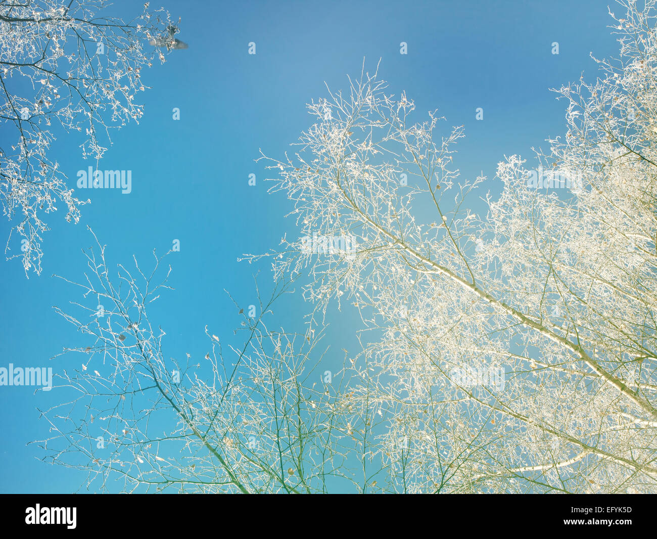 Beautiful blue sky with light cloud hi-res stock photography and images ...