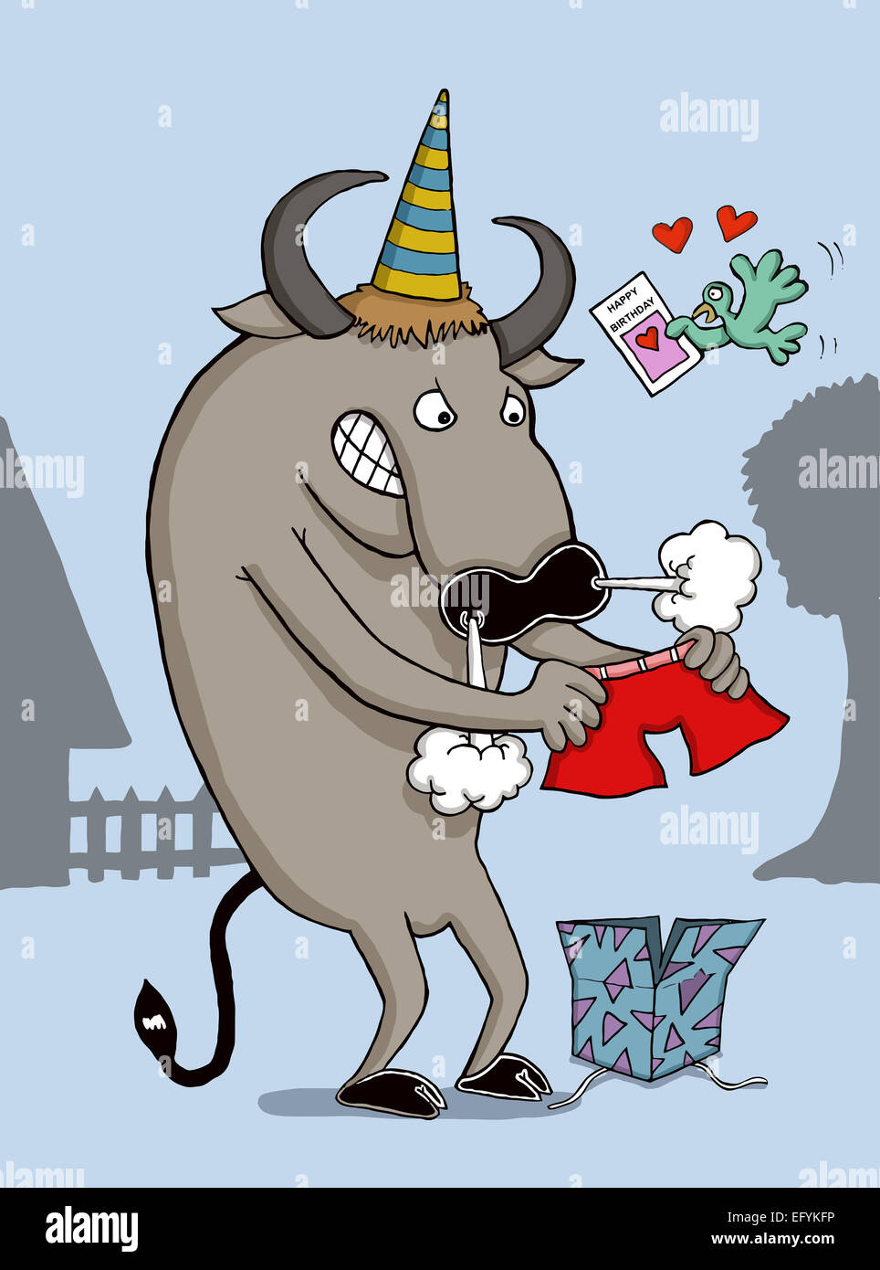 Bull gets angry to see his red present Stock Photo - Alamy