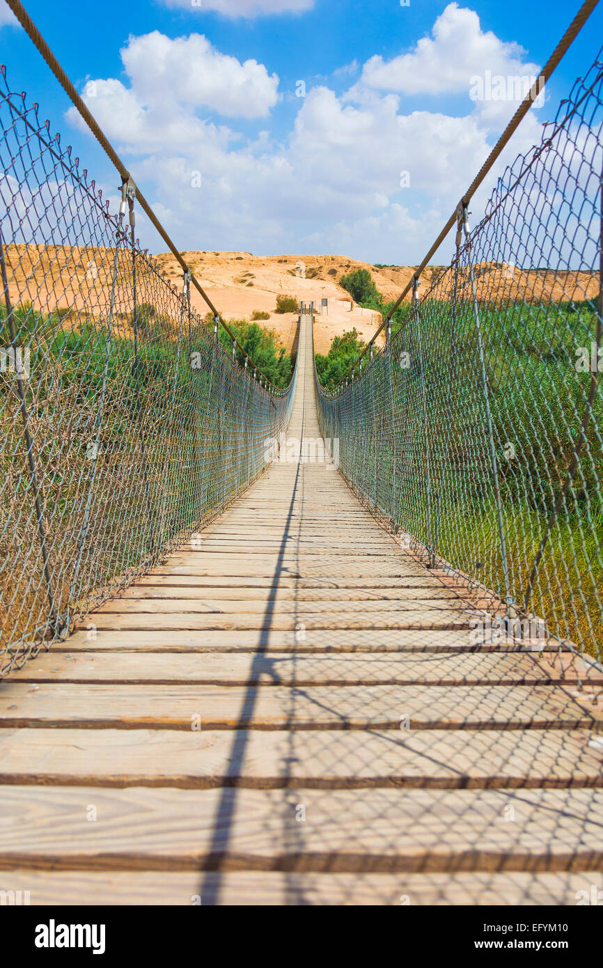 suspension bridge over the river stretching into the distance Stock ...