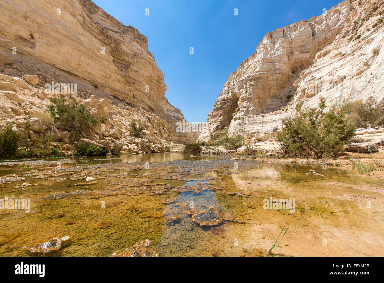 natural source at the bottom of a deep ravine Stock Photo - Alamy