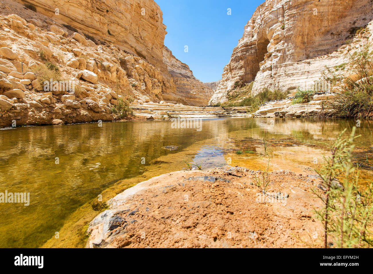 natural source at the bottom of a deep ravine Stock Photo - Alamy