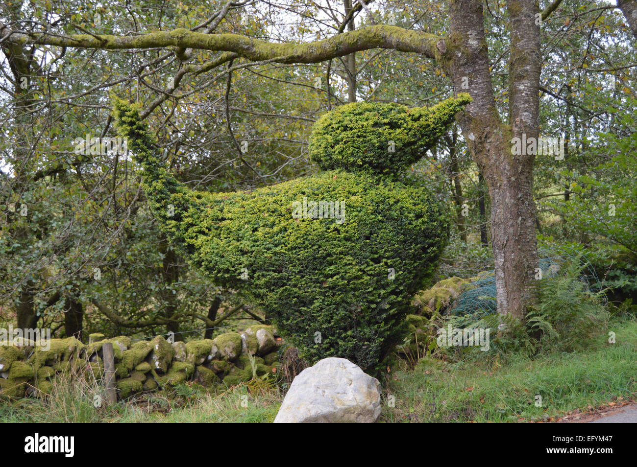 Bird topiary hi-res stock photography and images - Alamy