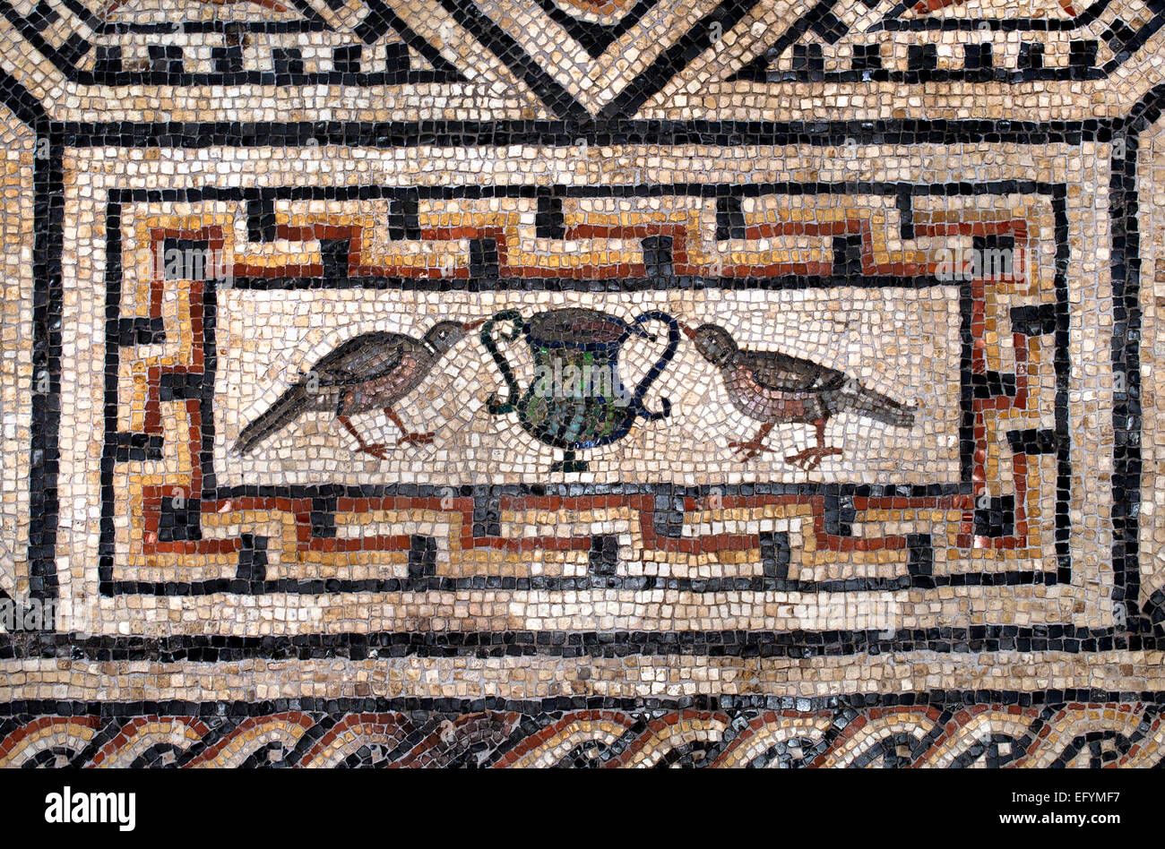 Dionysus mosaic cologne hi-res stock photography and images - Alamy