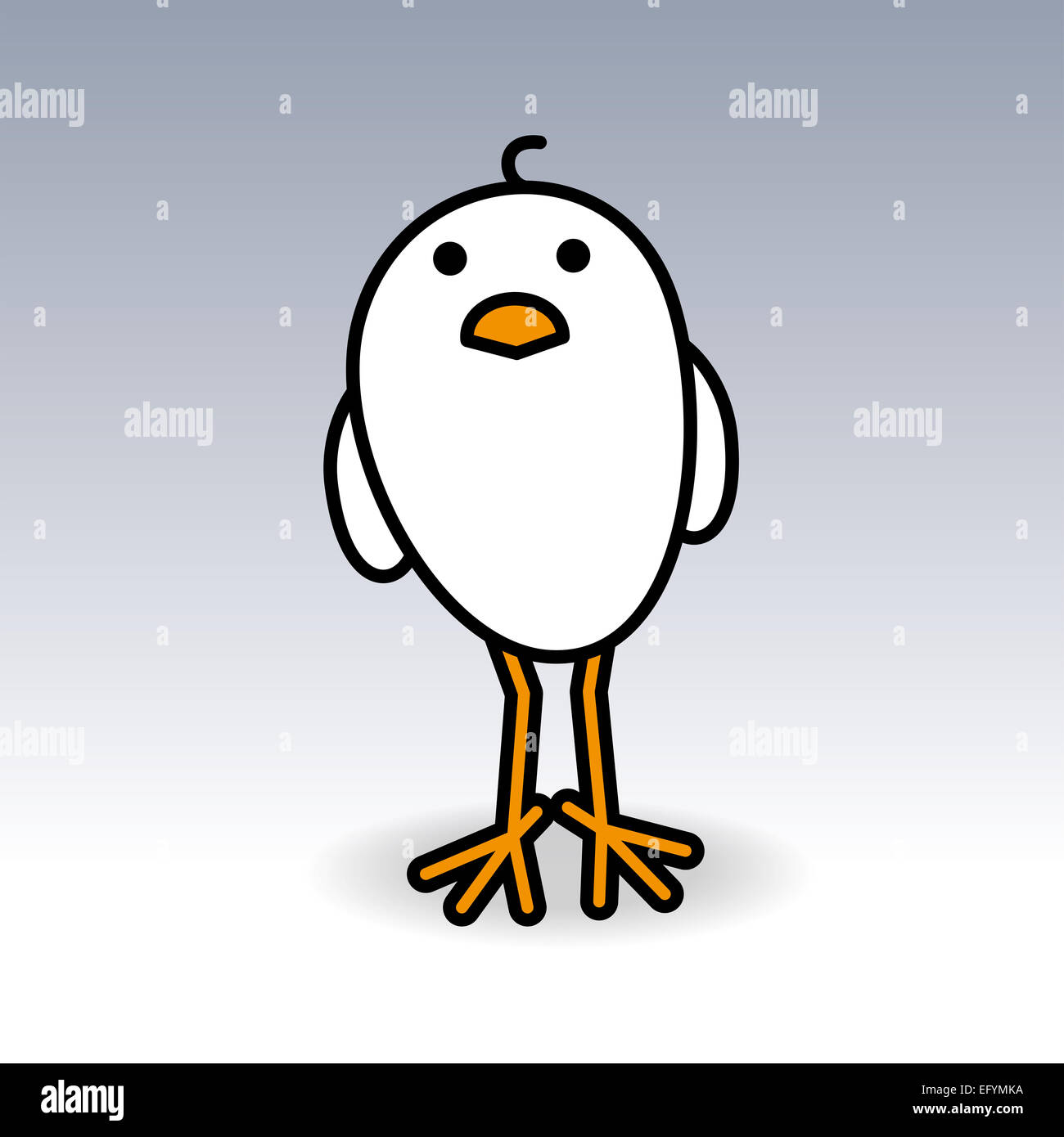 Single Small Cute White Chick Staring towards camera on White ...