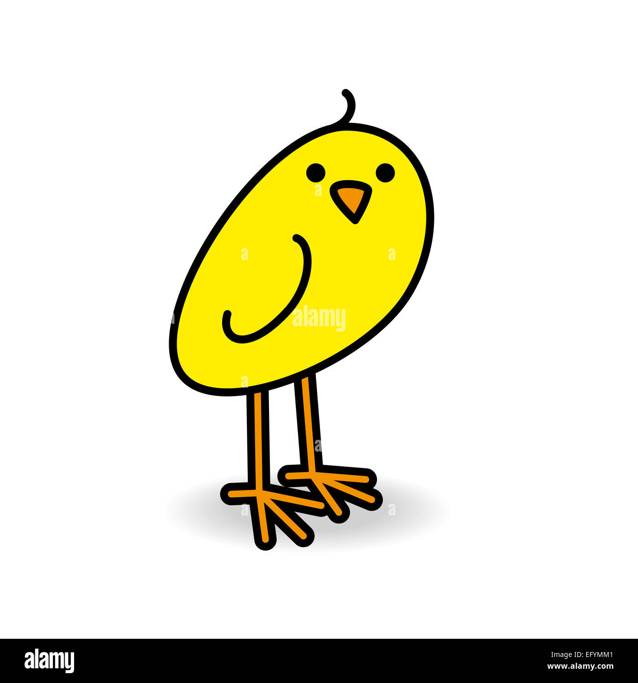 Single Small Cute Yellow Chick Staring towards camera on White ...