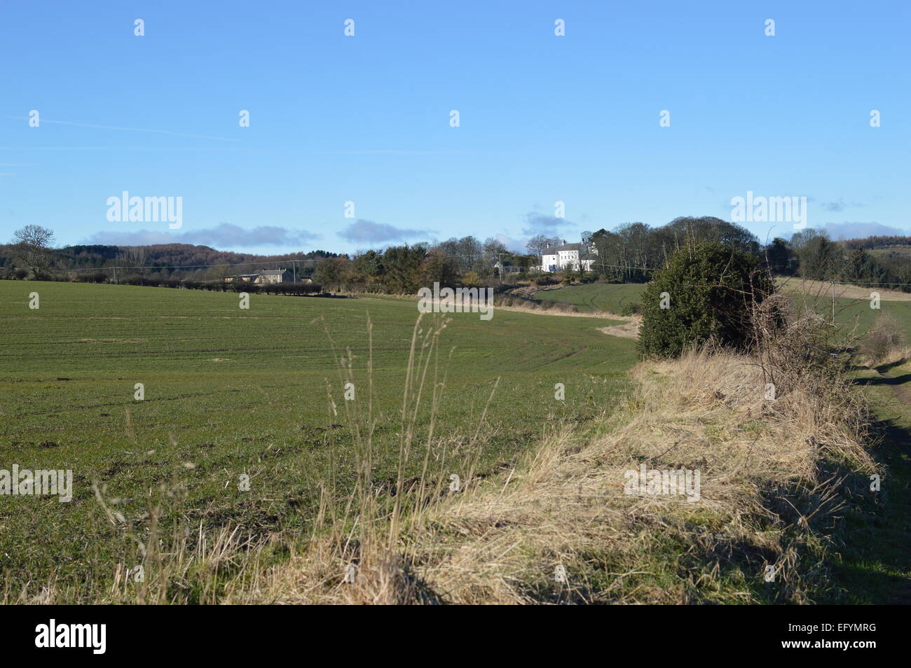 View from the Ouston and Urpeth Ramble across to High Urpeth and Urpeth ...