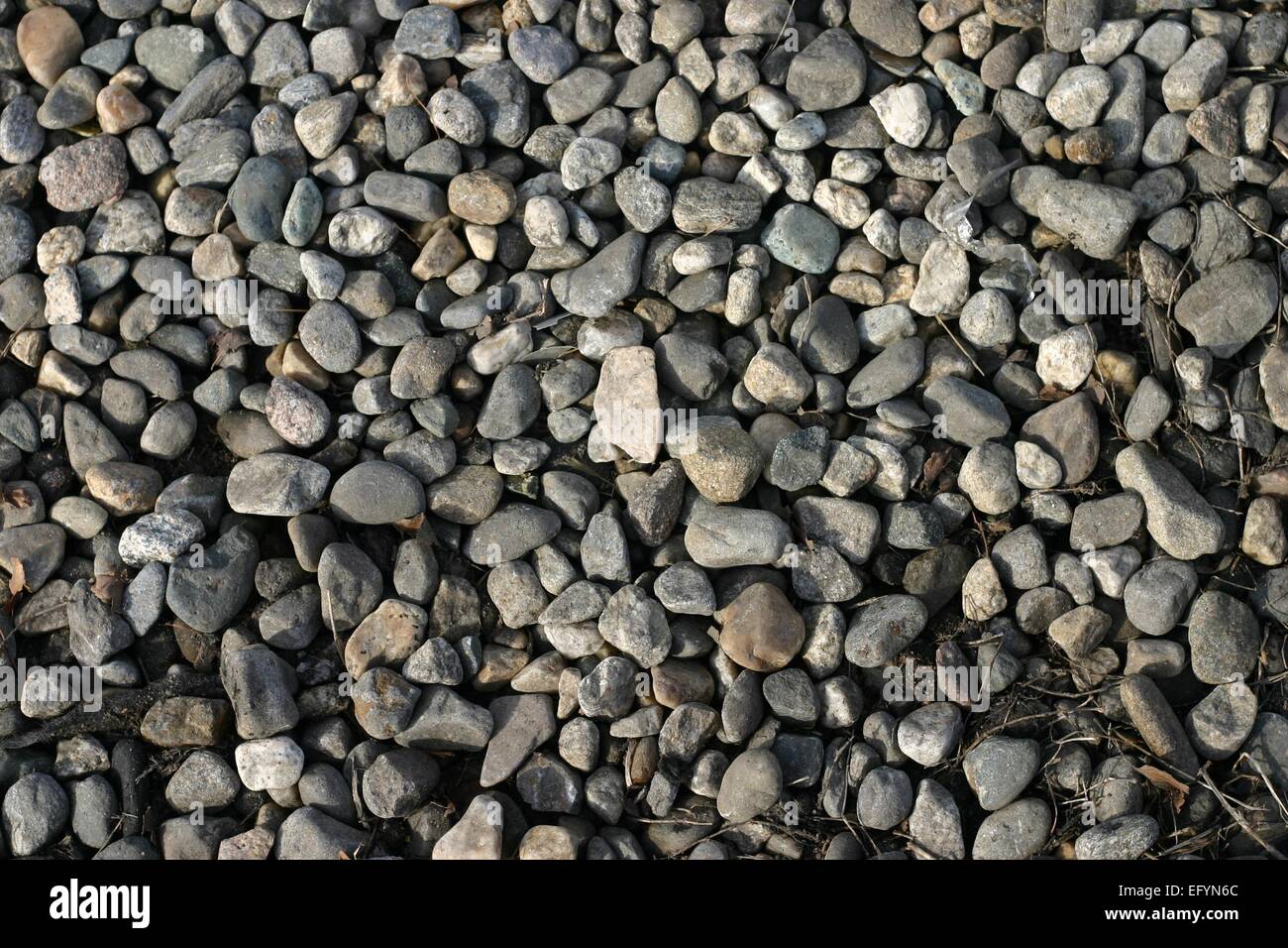 Small Clast Of Rock High Resolution Stock Photography and Images - Alamy