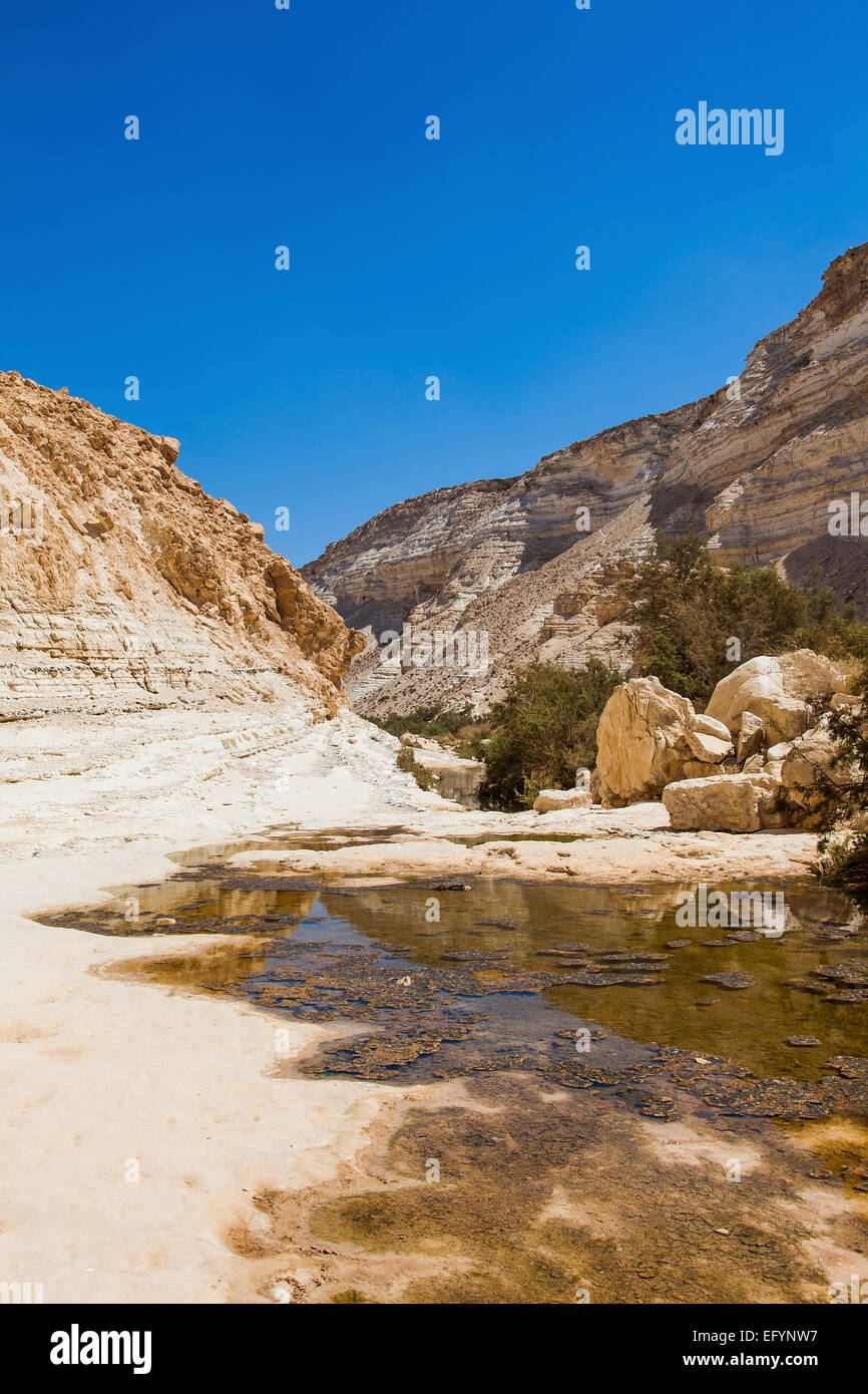Source water in middle desert hi-res stock photography and images - Alamy
