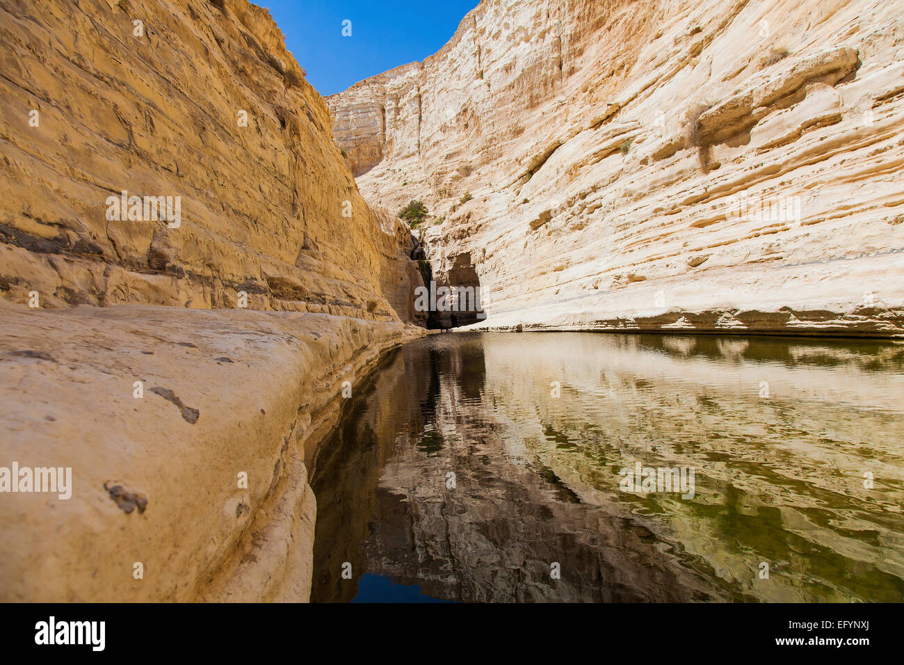 a deep gorge in the Negev desert with a natural water Stock Photo - Alamy