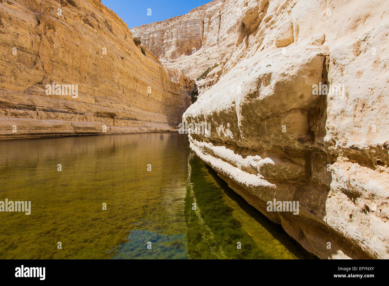 a deep gorge in the Negev desert with a natural source Stock Photo - Alamy
