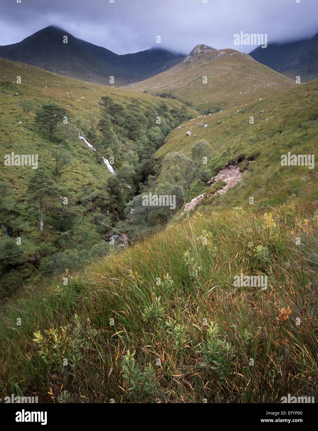 Glas Bheinn Mhor and Meall nan Tri Tighearnan viewed from below the ...