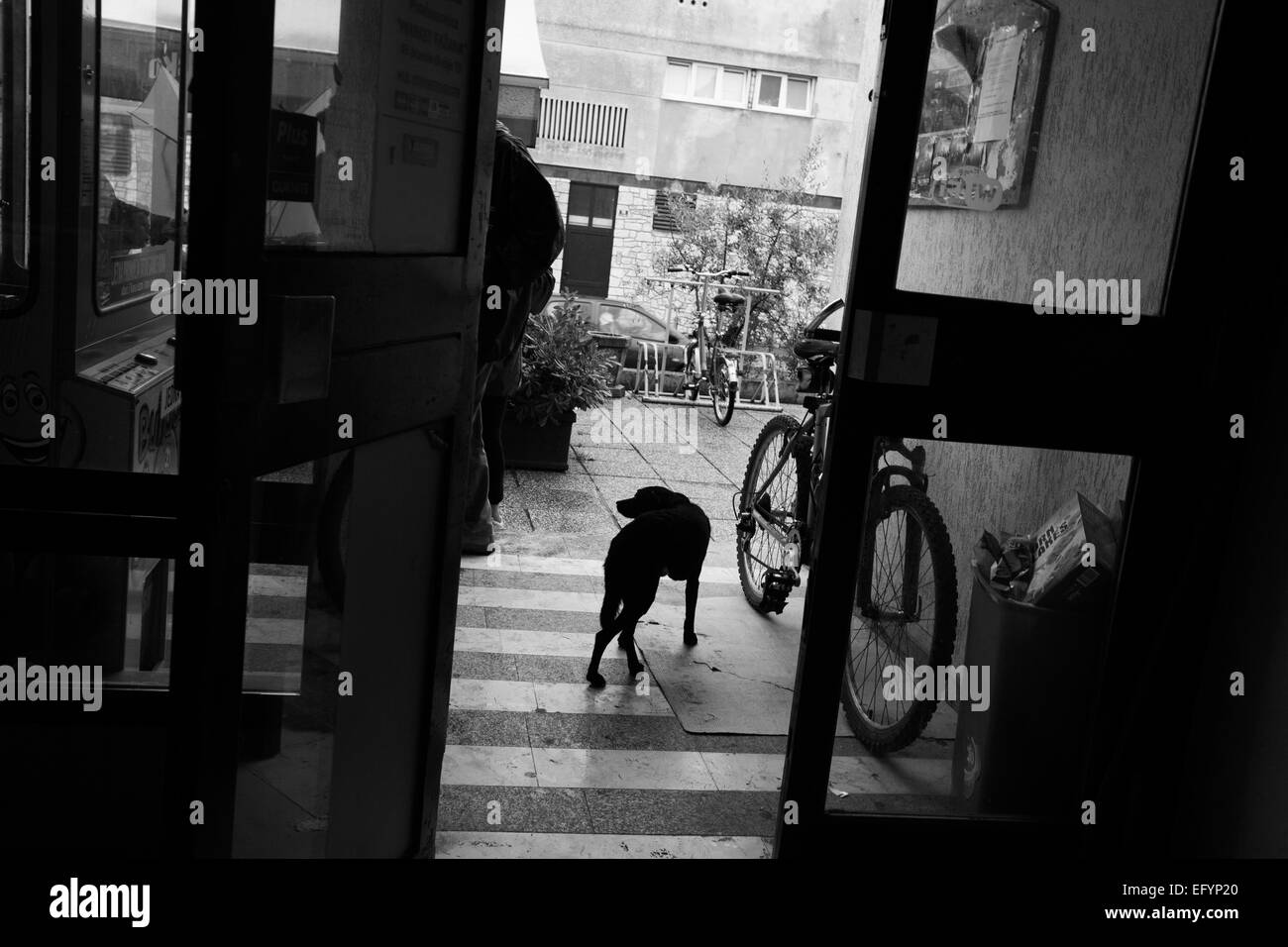 Food ill Black and White Stock Photos & Images - Alamy