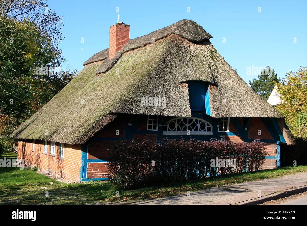 Thatched farmhouse in Aschwarden in Lower Saxony. With the reeds reed ...