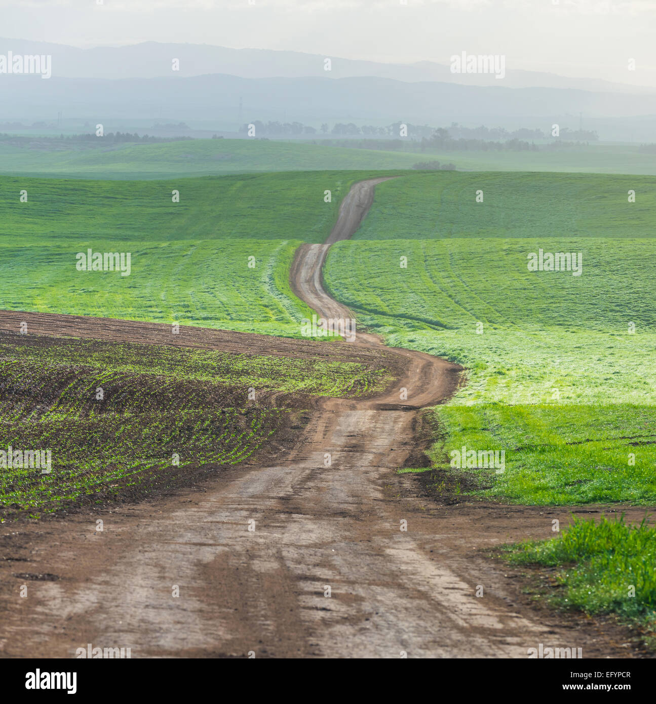 Curve of road through forest field landscape hi-res stock photography ...