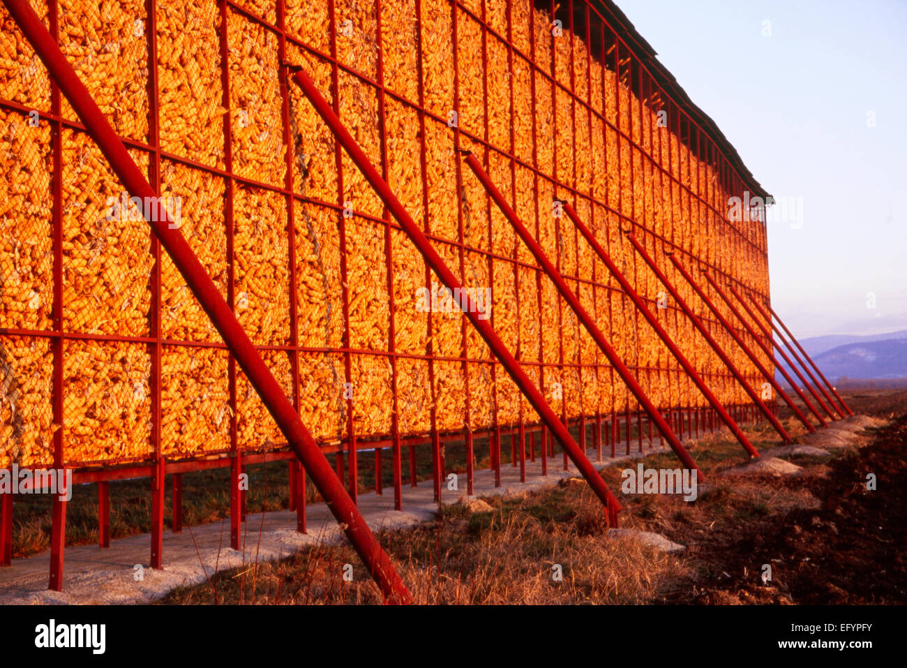 Corn storage hi-res stock photography and images - Alamy