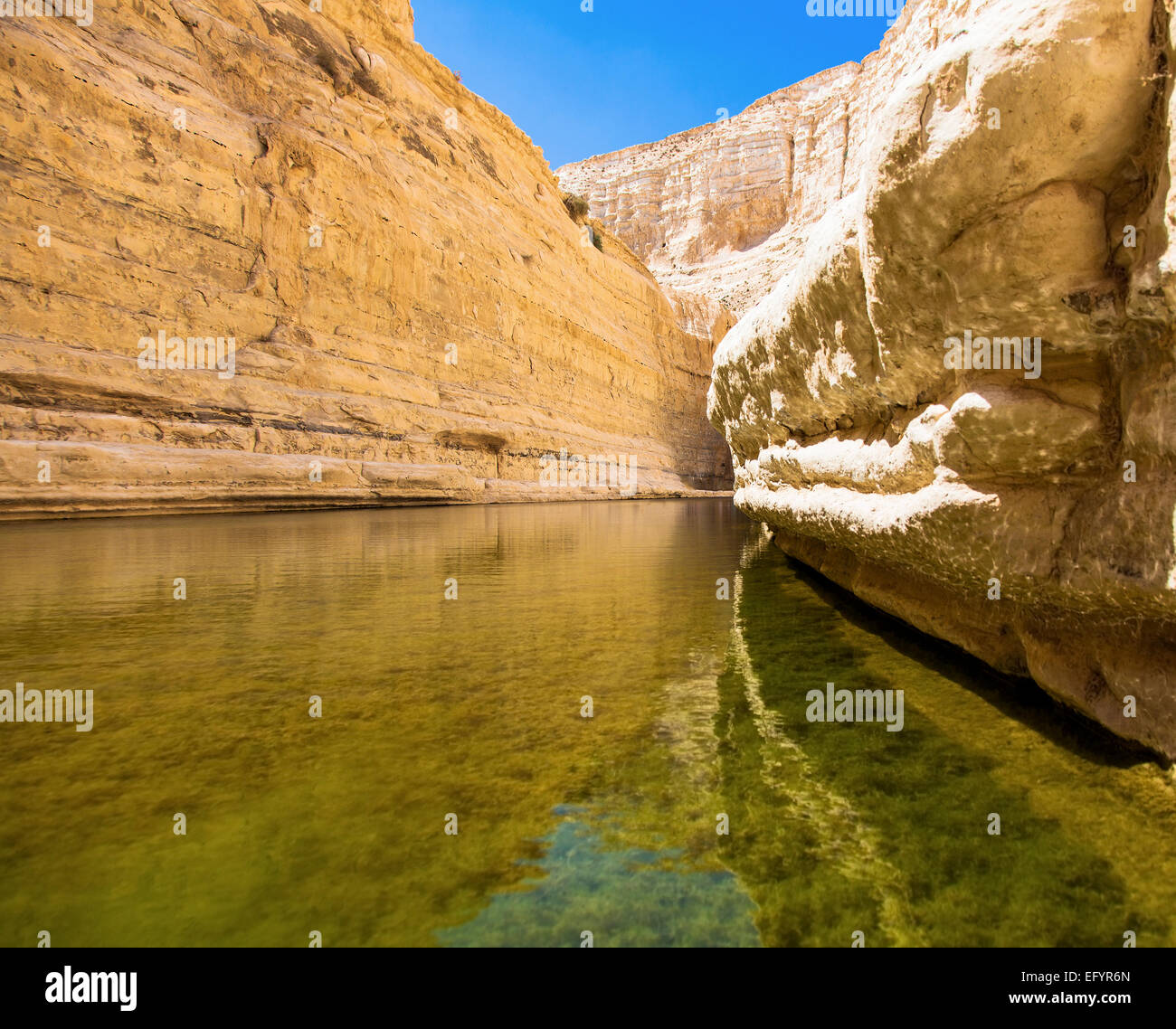 Desert water source hi-res stock photography and images - Alamy