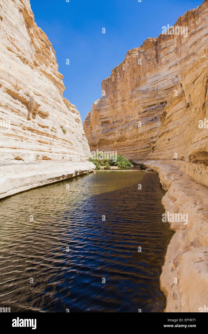 gorge in the Negev desert with a natural water source Stock Photo - Alamy