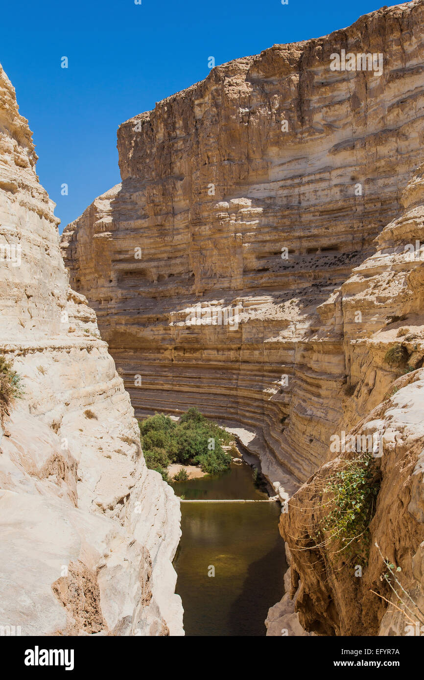 a deep gorge in the Negev desert with water source Stock Photo - Alamy