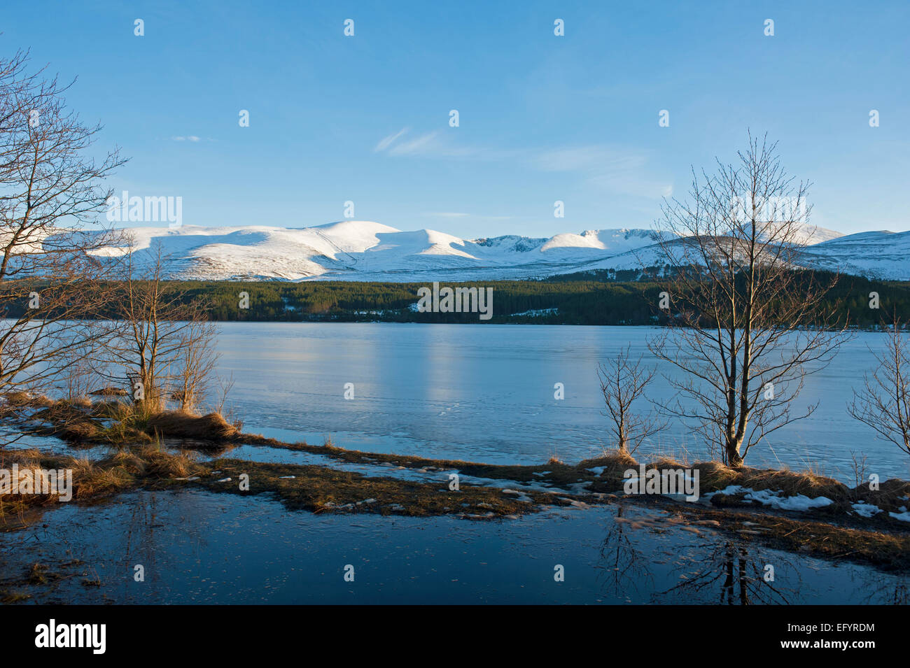 Snow covered Cairngorms from the edge of Loch Morlich, Aviemore ...