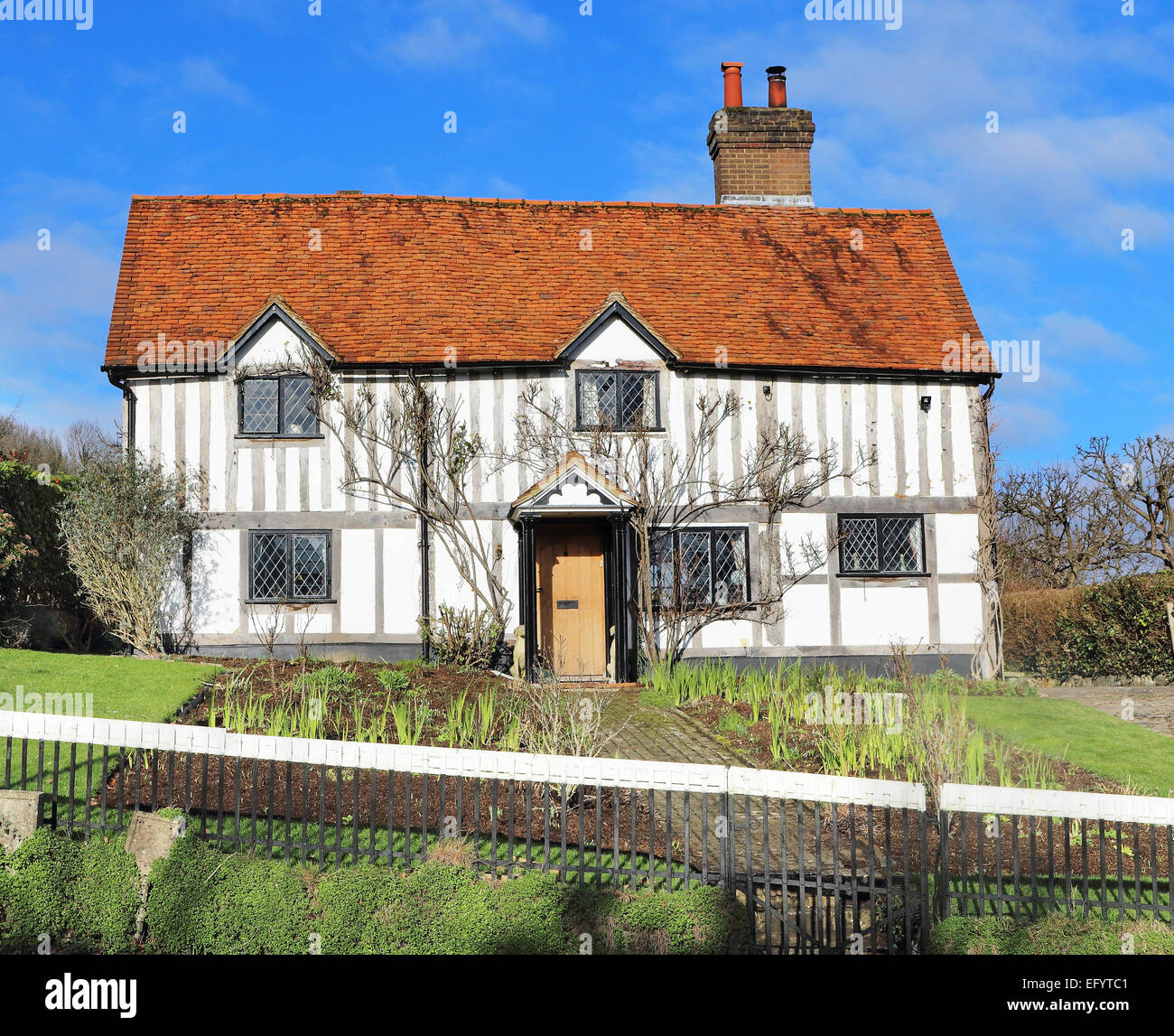 Traditional whitewashed Timber Framed English Village Cottage and ...
