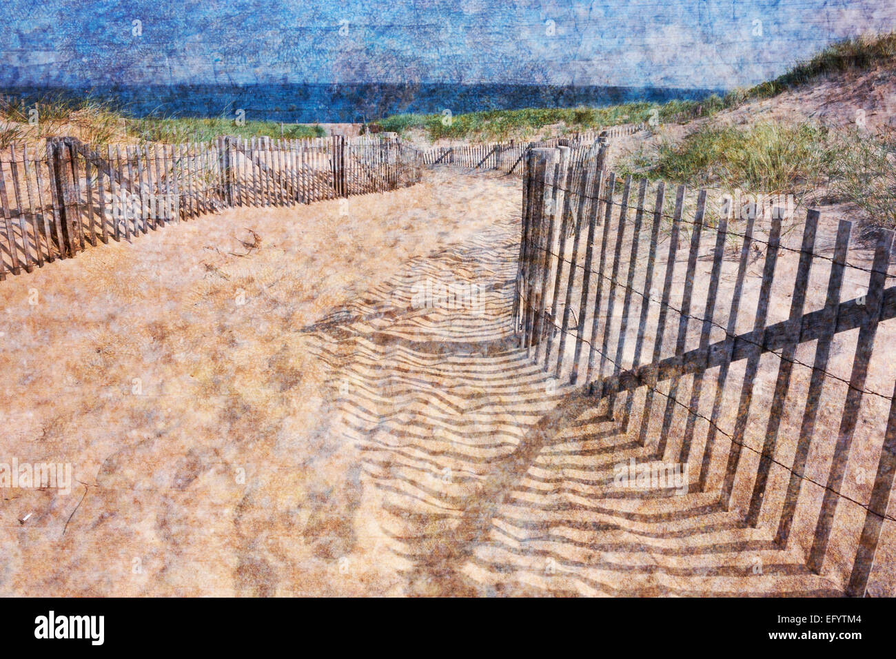 Path to Race Point Beach in Provincetown, Massachusetts on Cape Cod ...