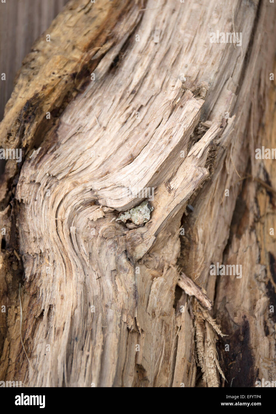 Piece of split wood rough texture background Stock Photo - Alamy