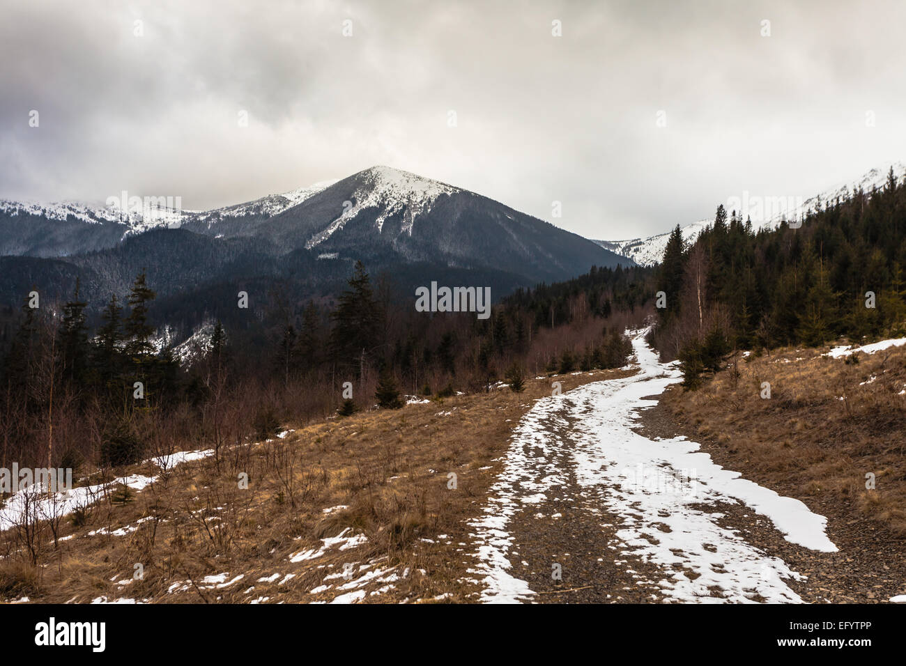 Finland forest house cliff hi-res stock photography and images - Alamy