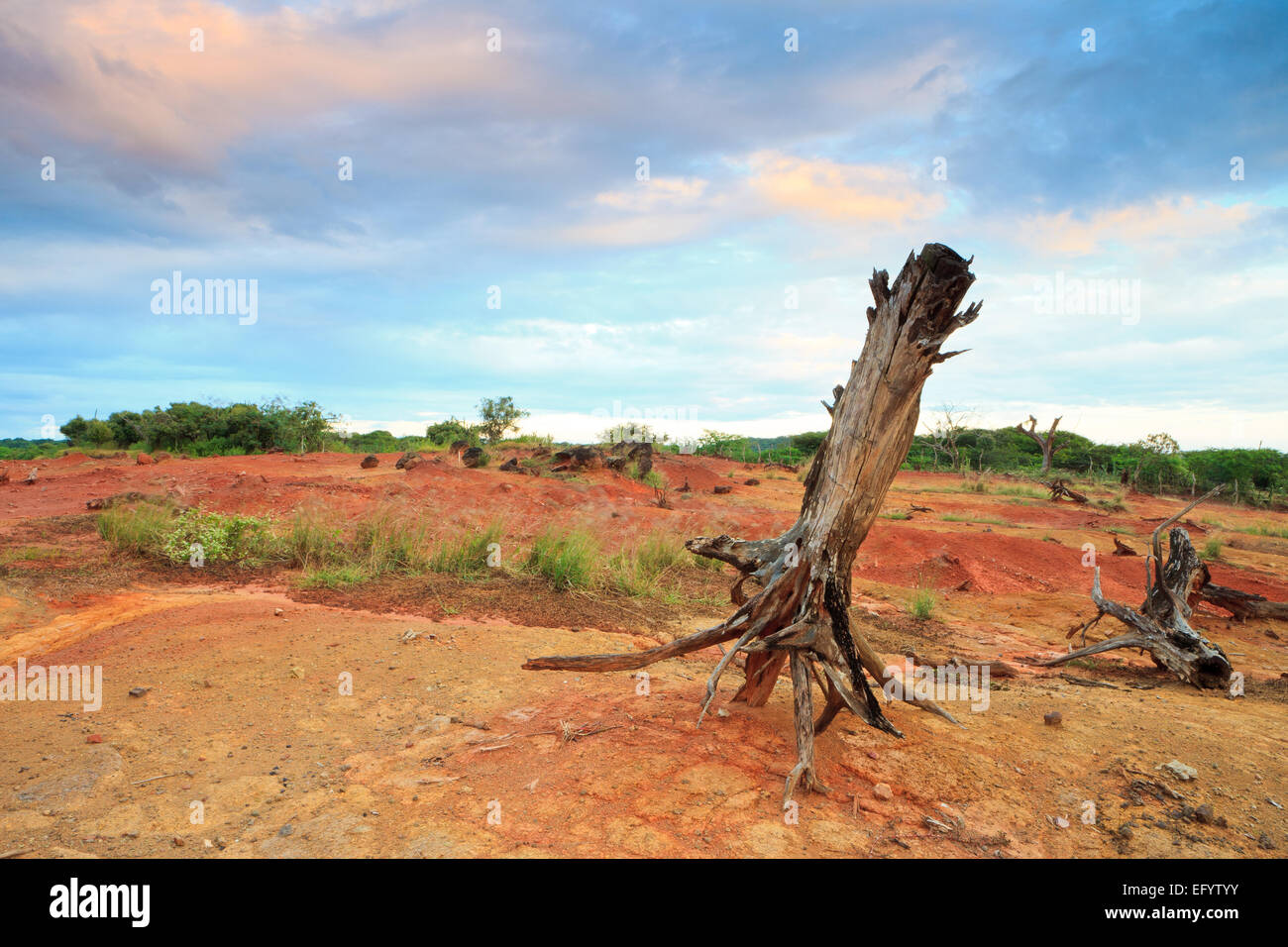 Desert landscape sarigua national park hi-res stock photography and ...