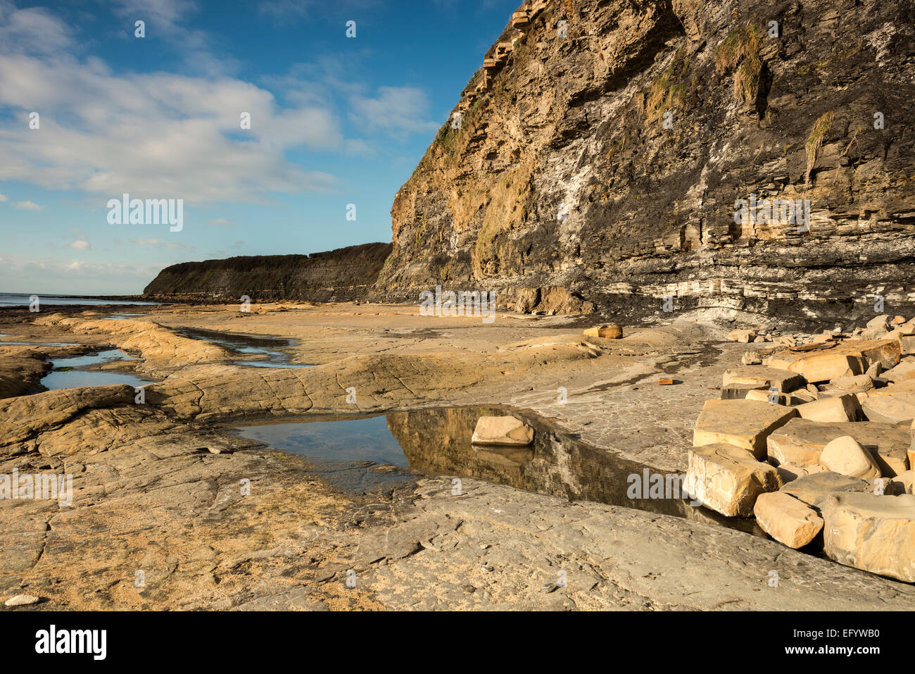 Kimmeridge Bay Kimmeridge Dorset England UK Stock Photo - Alamy