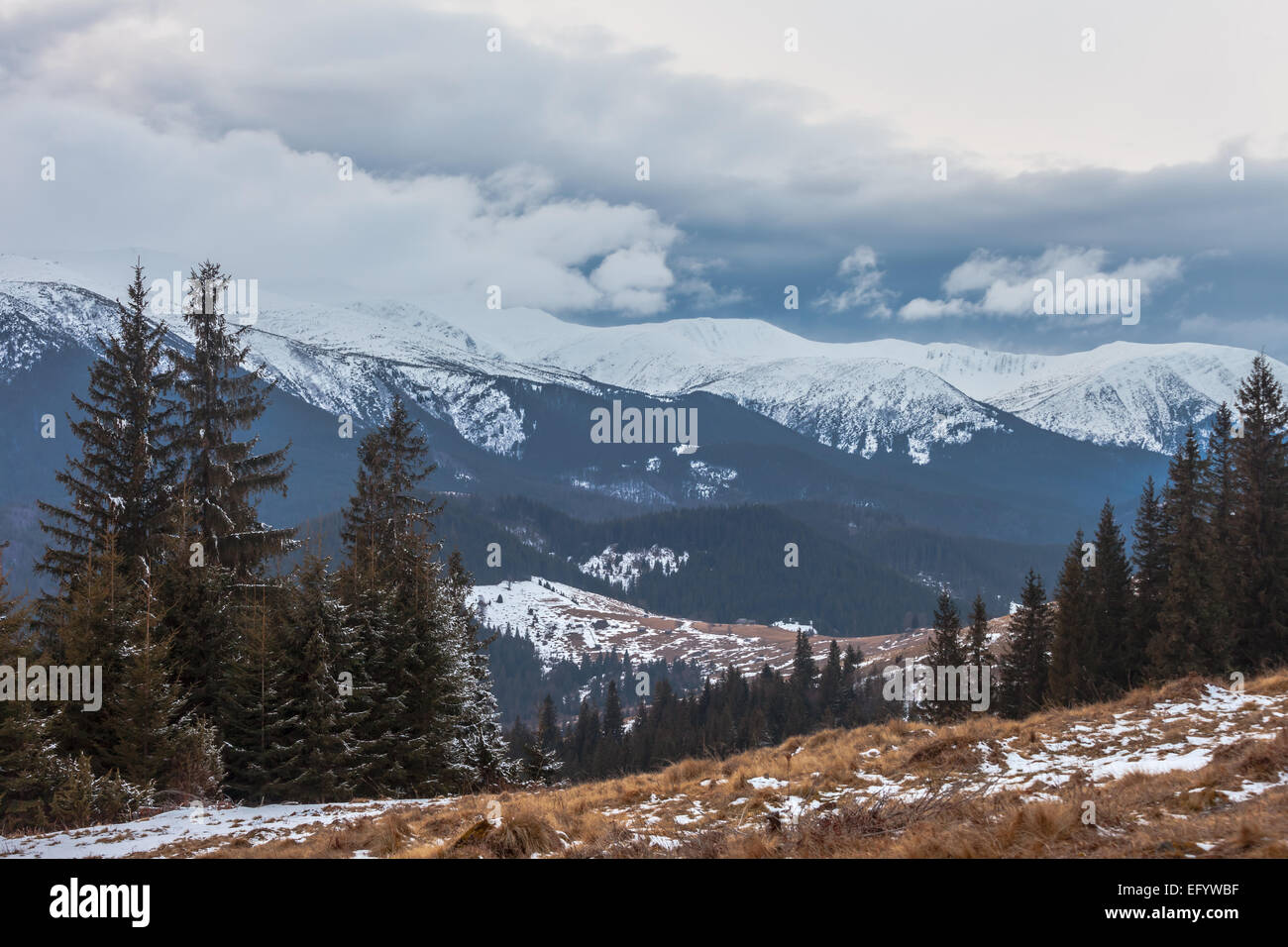 Snowy mountains before storm. The Ukraine landscape Stock Photo - Alamy
