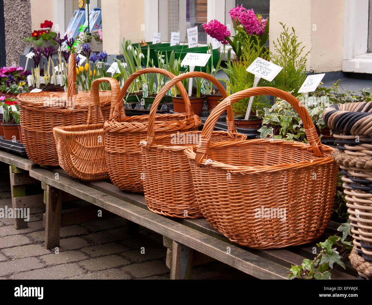 Shop front with pavement display hi-res stock photography and images ...
