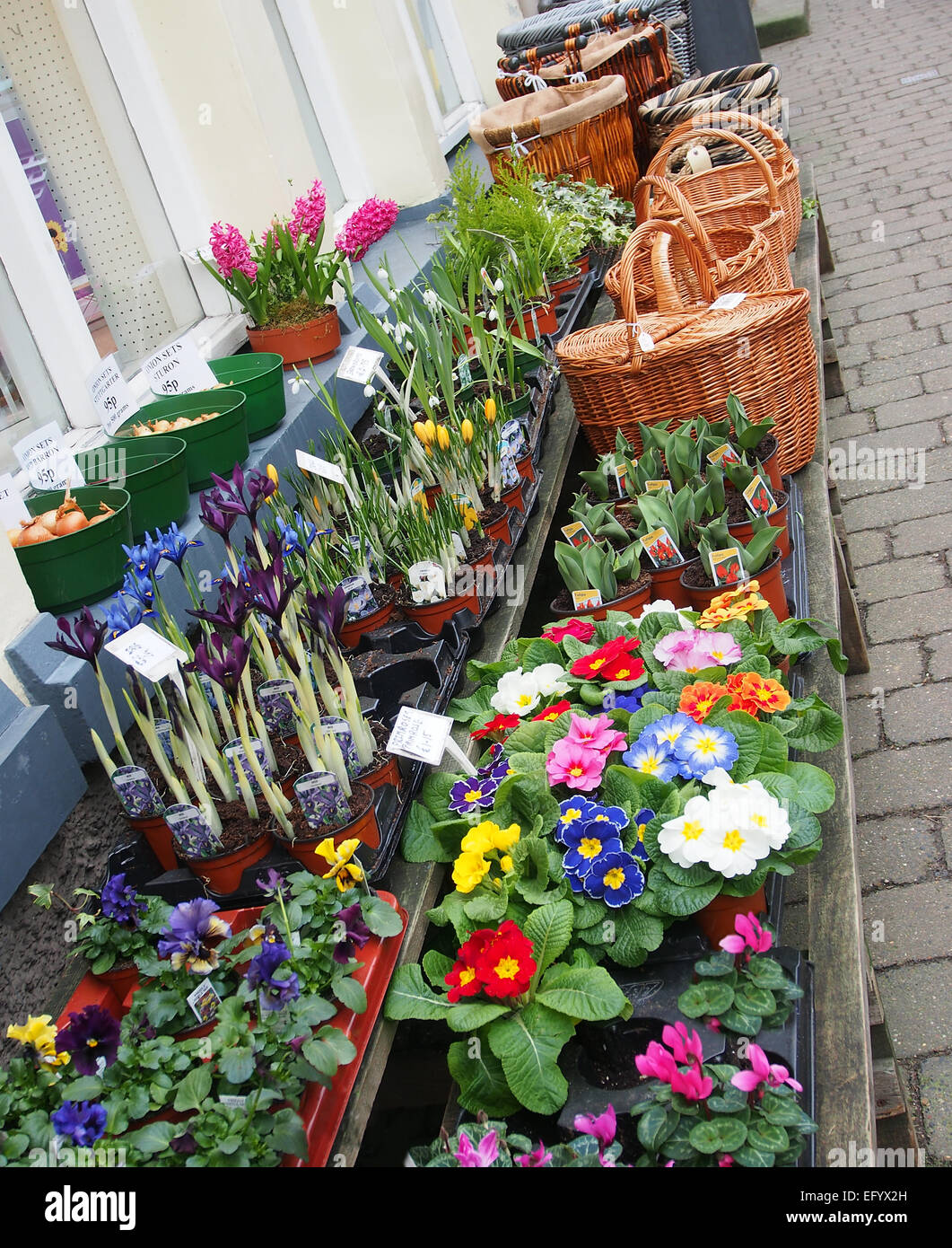 Pavement display hi-res stock photography and images - Alamy