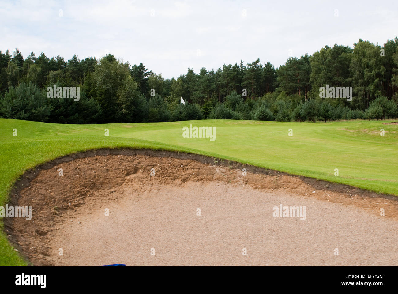 Sand trap and putting green with flag at golf course Stock Photo - Alamy