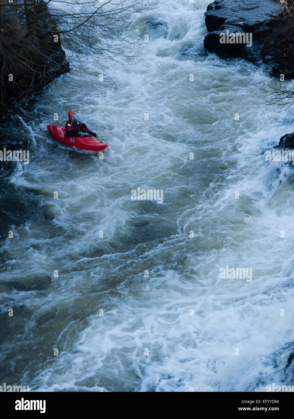 Kayaker on the River Dee at Llangollen, from the bridge Stock Photo - Alamy