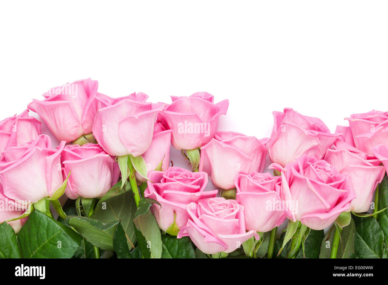 Rose Backgrounds To Celebrate Sunset Celebration Rose | From the ...