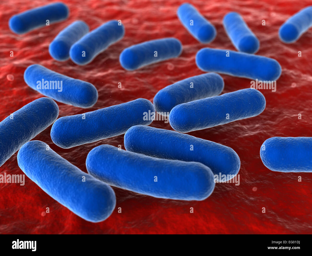 3d render of bacteria cells Stock Photo - Alamy