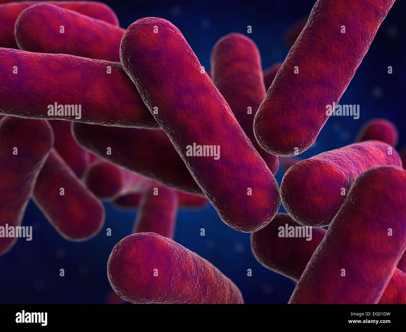 3d render of bacteria cells Stock Photo - Alamy